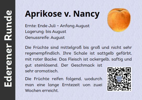 Artikel - www.ederen.de