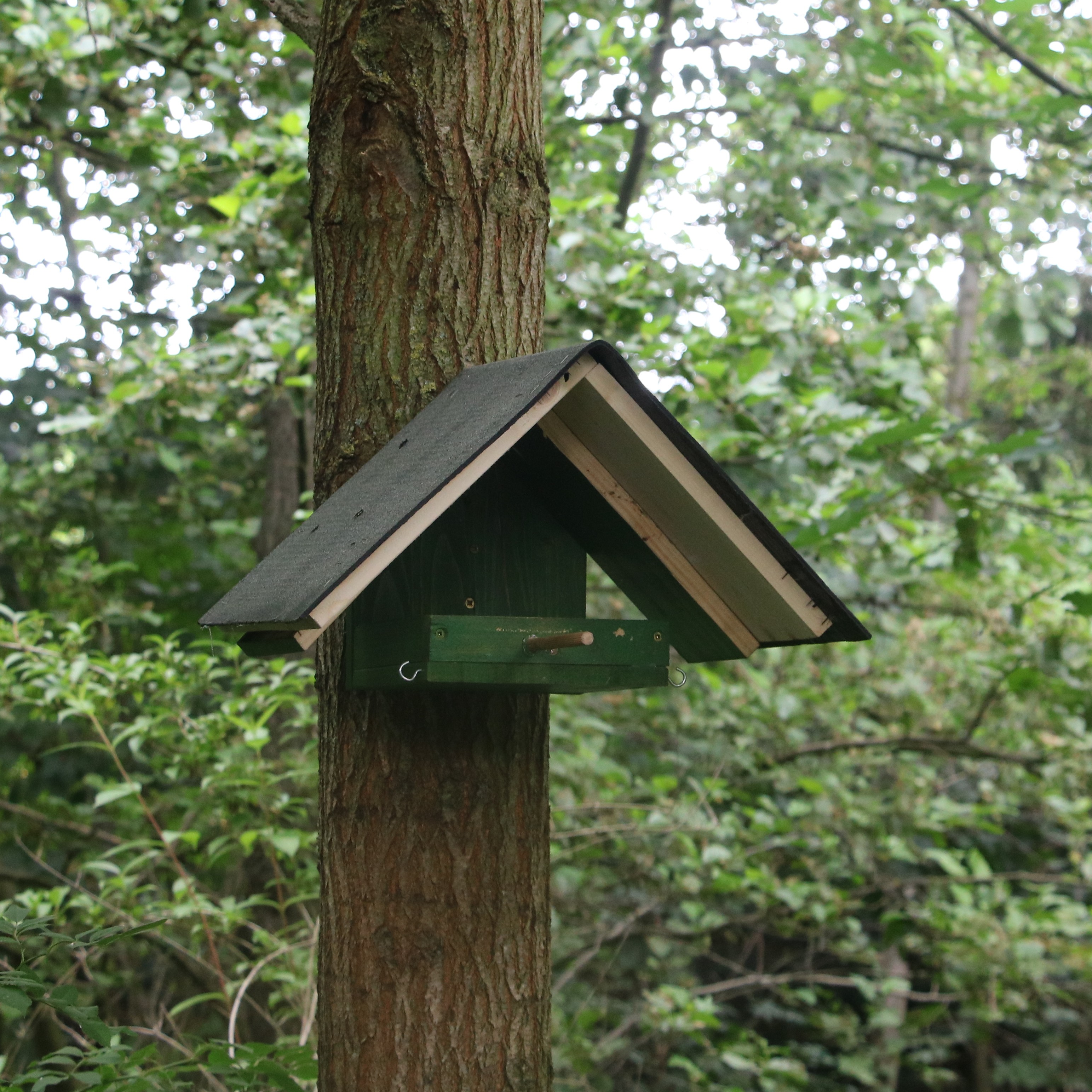 Artikel - www.ederen.de