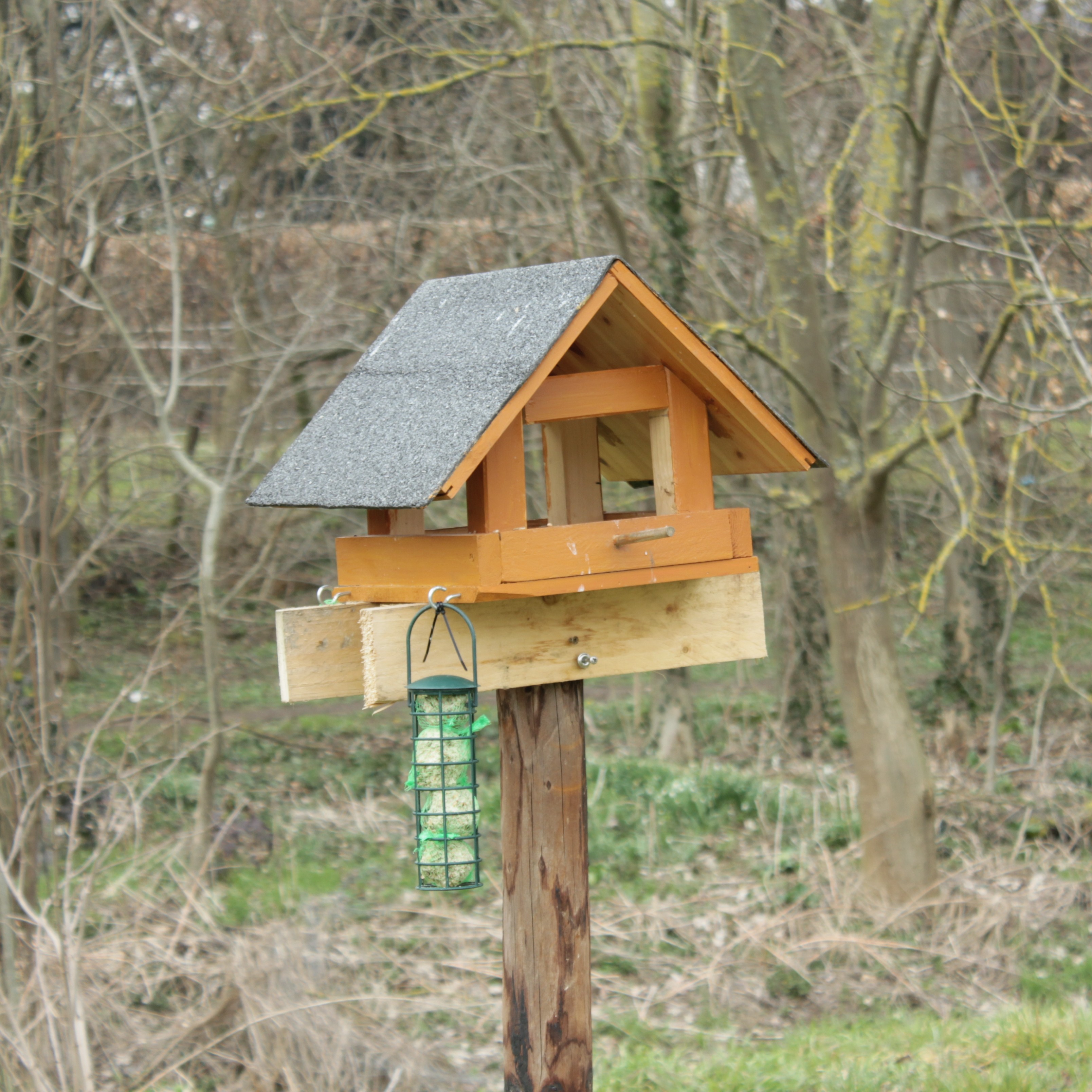 Artikel - www.ederen.de